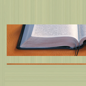 Bible Summary: The Bible—What Is Its Message?