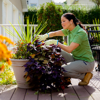 Feeling Overwhelmed With Life—How to Control Life’s Demands