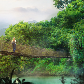 Can Our Planet Survive? —Forests