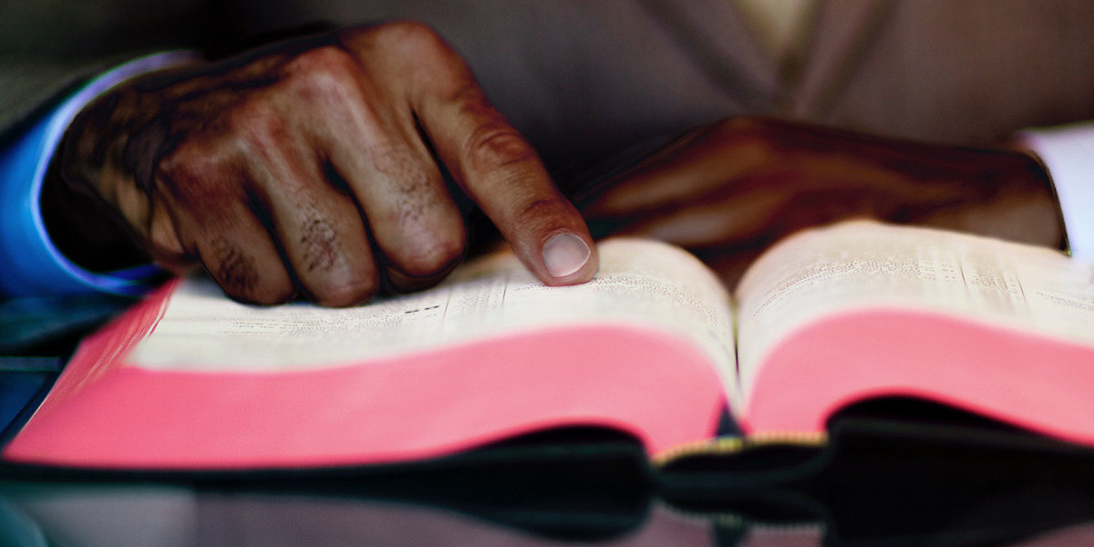 Apply Biblical Principles | JW.ORG Videos