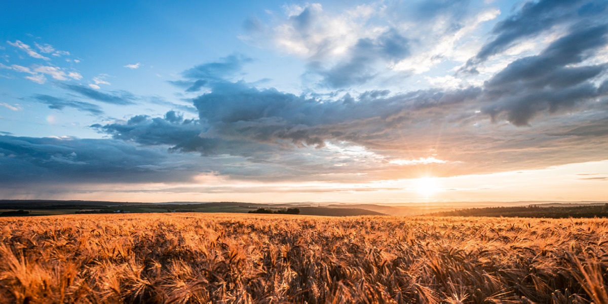 Baibulo Limatithandiza Kuti Tikhale Ndi Chiyembekezo