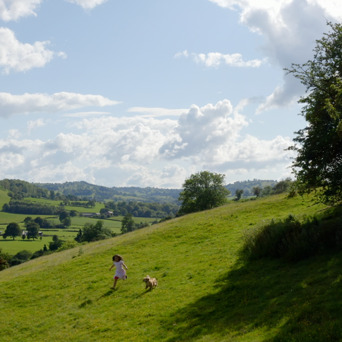 Geova ci guida lungo la via della pace | Video