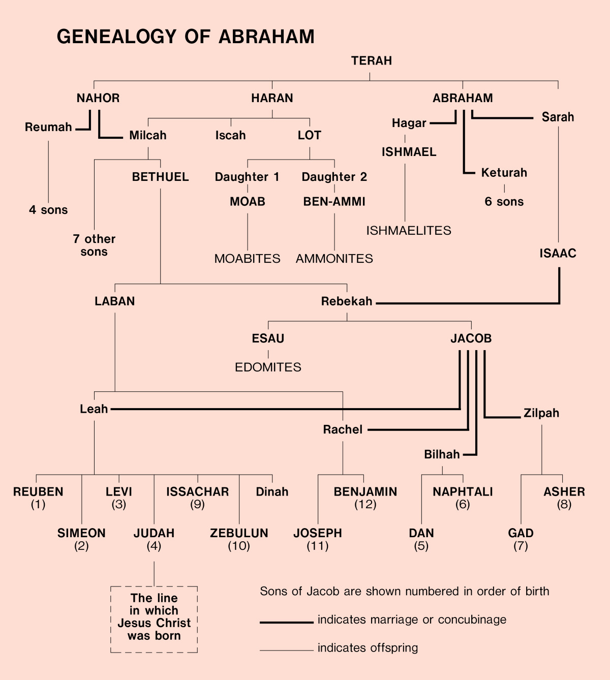 Abraham Bible Family Tree Chart