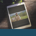 This publication can help you find the depiction of specific Bible ...