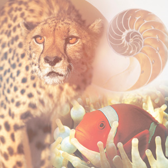 ʼE ʼi ai koa he fakatuʼutuʼu ki totatou kele?