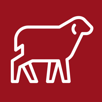 Véase como Jehová lo ve