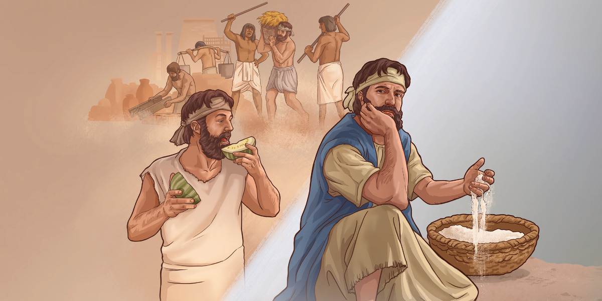 JW Life and Ministry Meeting Schedule August 26–September 1, 2024