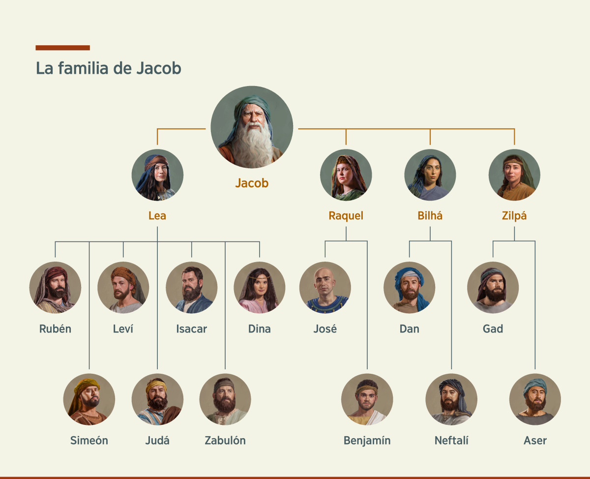 árbol Genealógico De La Familia Jacob Según La Biblia Jacob Y Esau