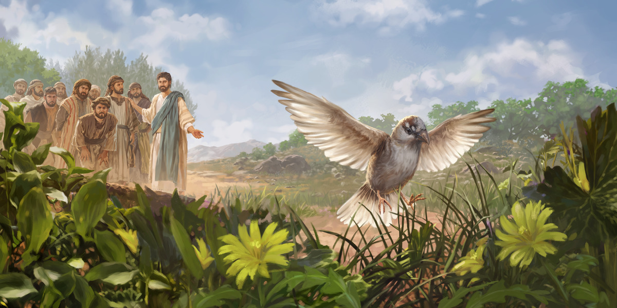 Accept Jehovah’s Love | Watchtower Study