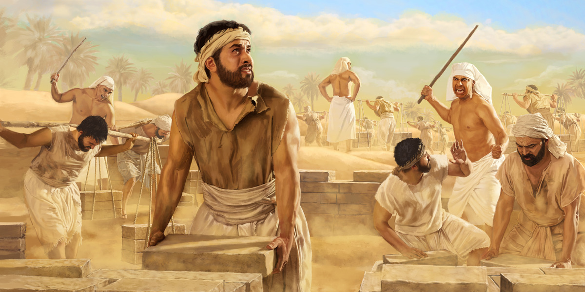 The Book of Job Can Help You When You Suffer | Watchtower Study