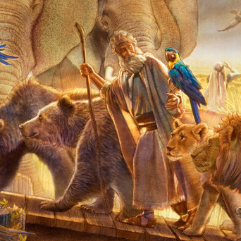 Bible Character Card: Noah