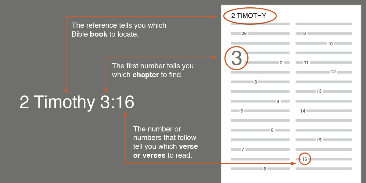Find Scriptures in the Bible