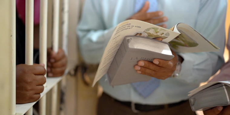 Jw Streaming Online Video Library | JW.ORG Videos English